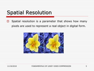 Multimedia lossy compression | PPT