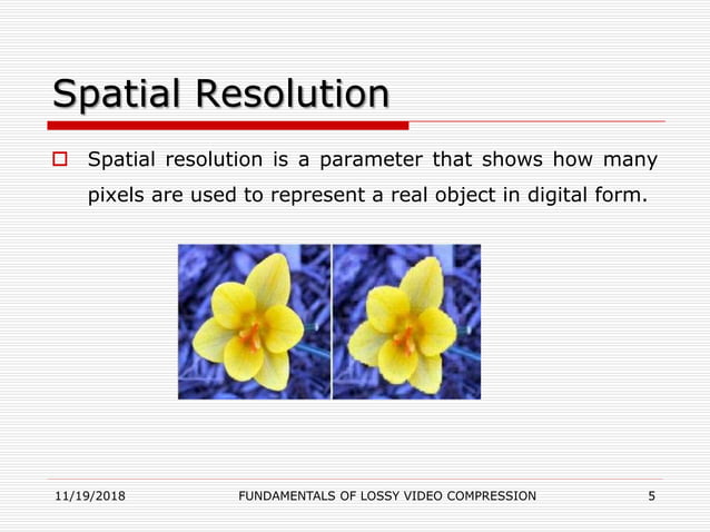 Multimedia lossy compression | PPT