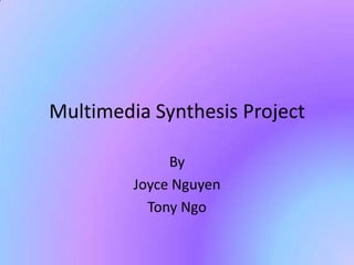Multimedia Synthesis Project | PPT