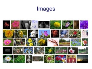 Multimedia activities & games | PPTX