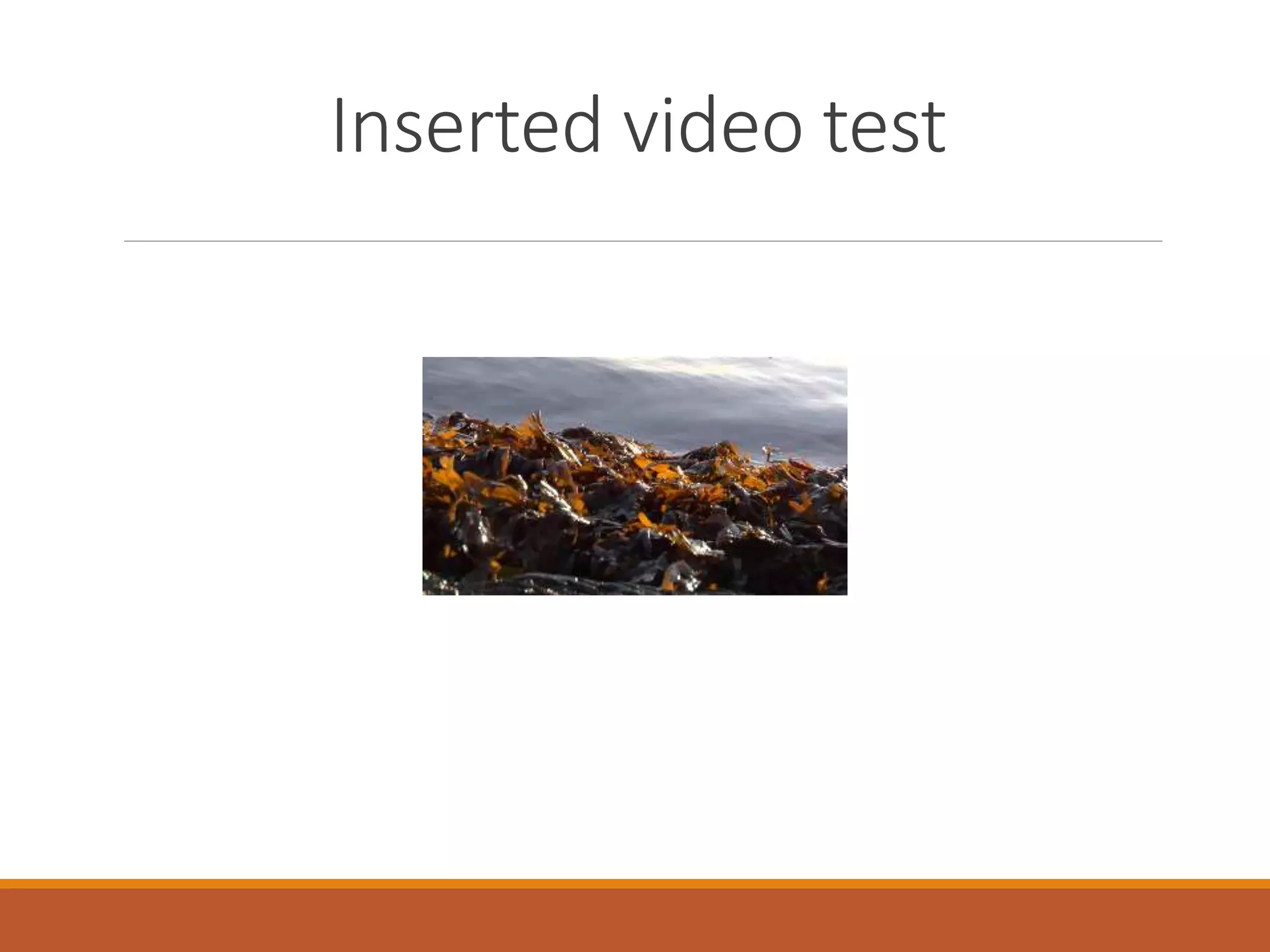 Multimedia test | PPTX