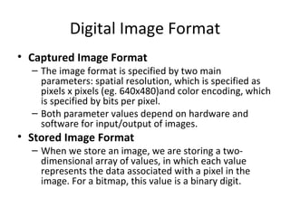 Multimedia tools(images) | PPT