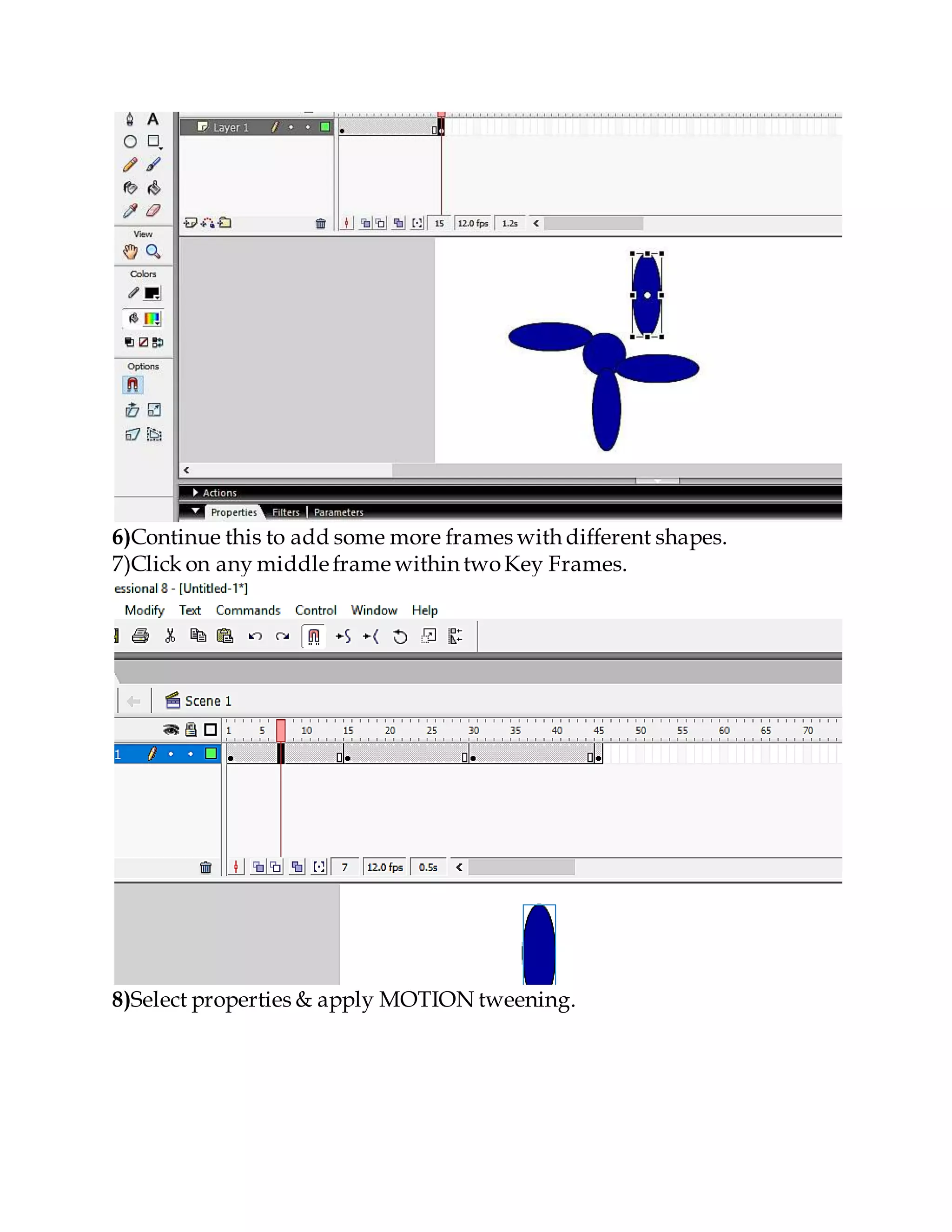 Macromedia Flash Player Practical file | DOCX