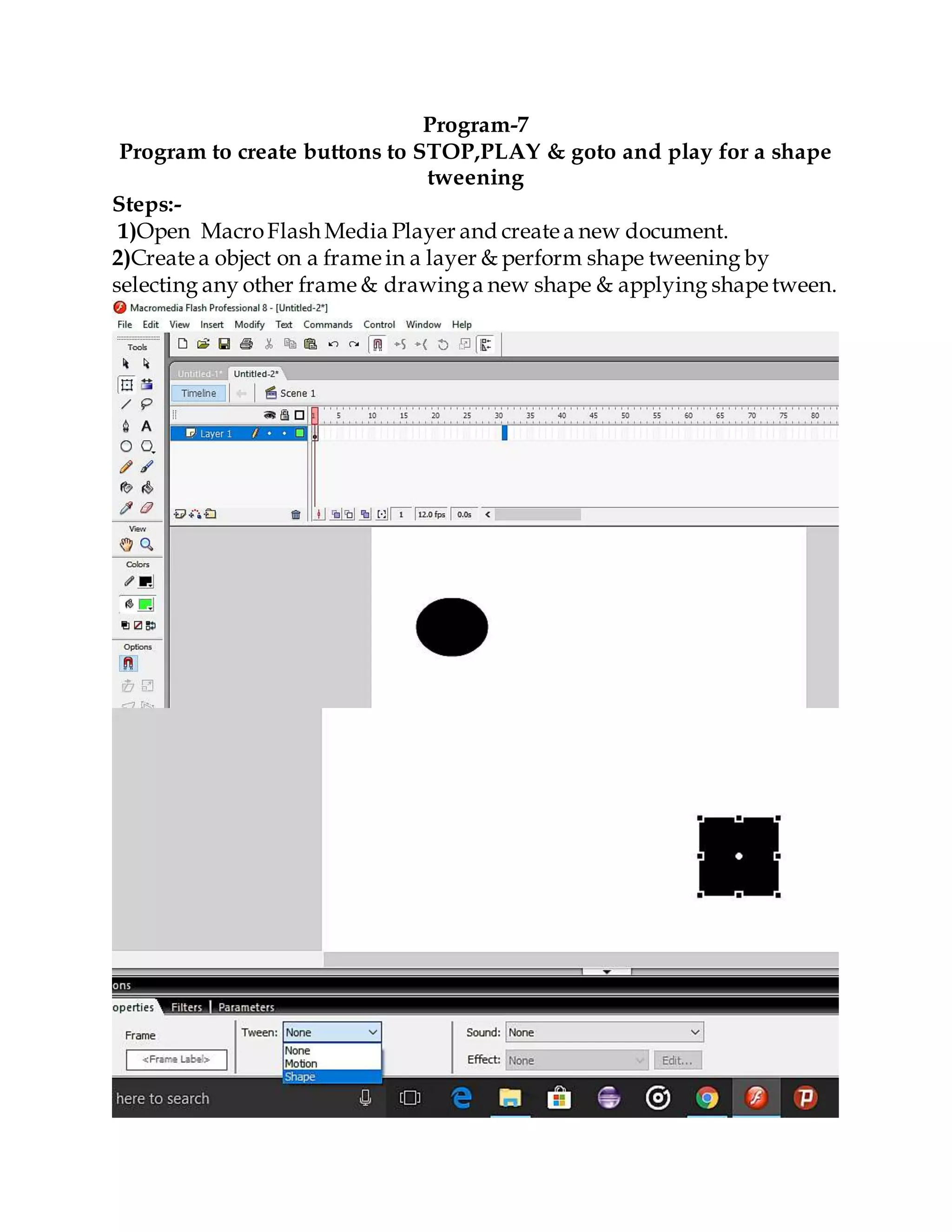 Macromedia Flash Player Practical file | DOCX