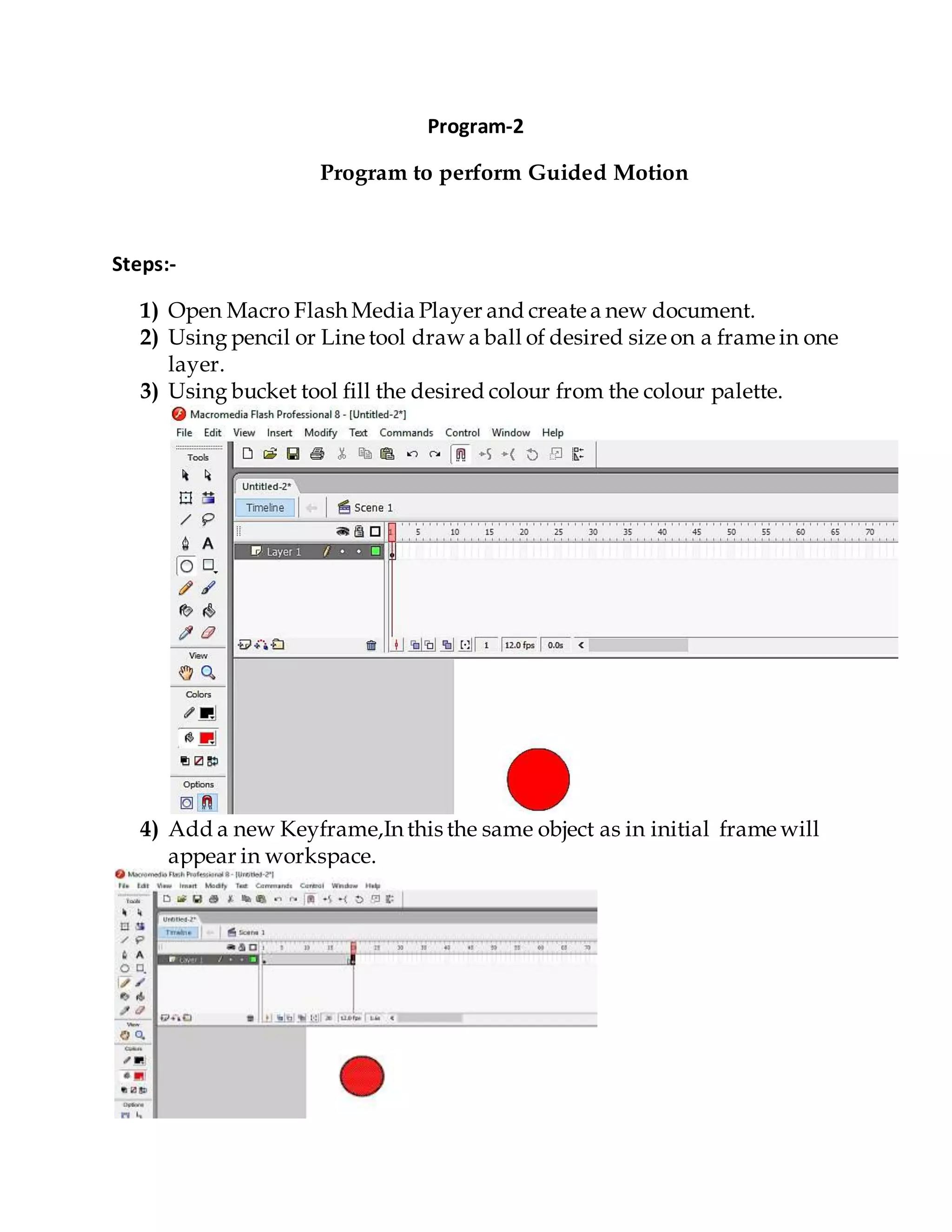 Macromedia Flash Player Practical file | DOCX