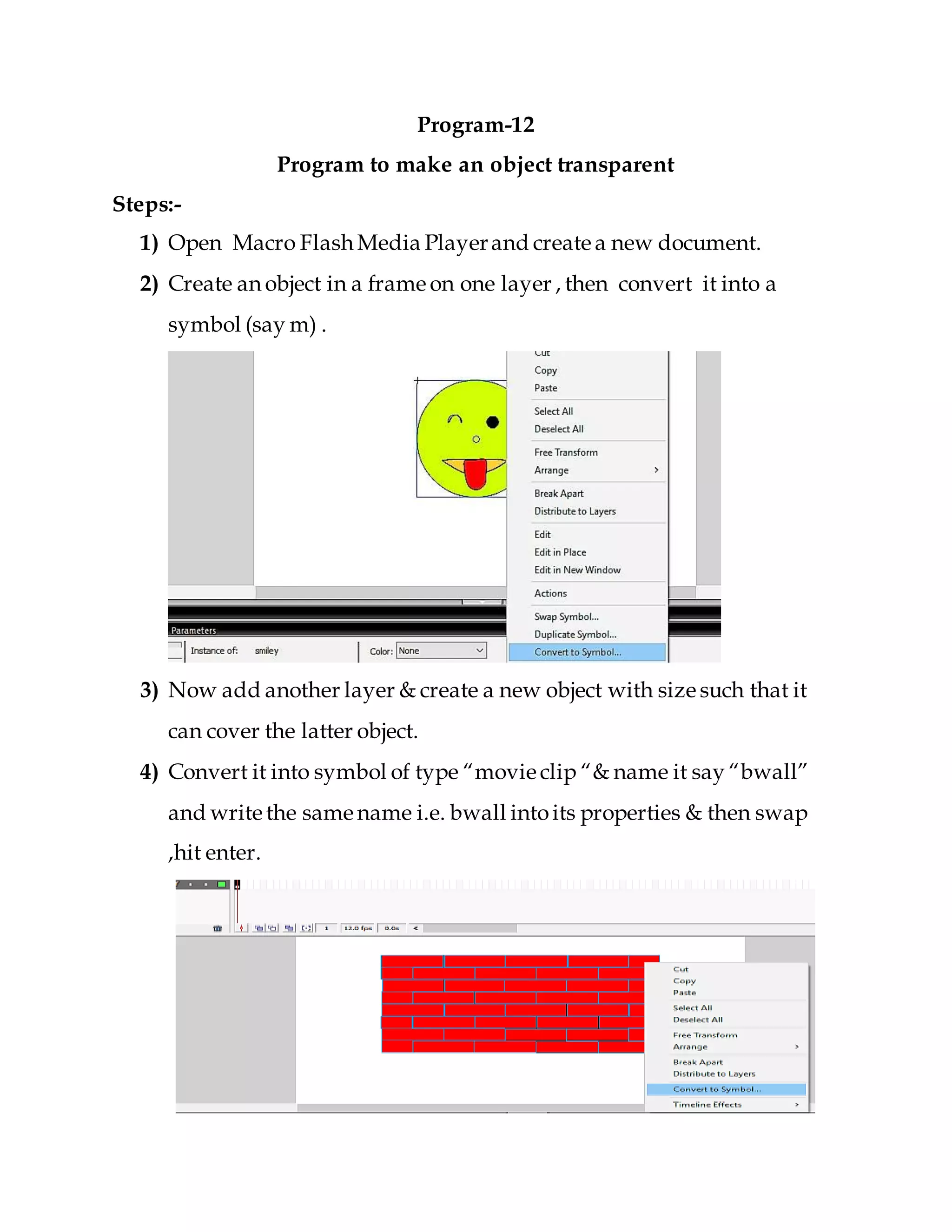 Macromedia Flash Player Practical file | DOCX | Computer Animation | Computer Software and ...