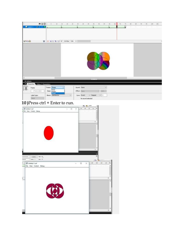 Macromedia Flash Player Practical file | DOCX | Computer Animation | Computer Software and ...