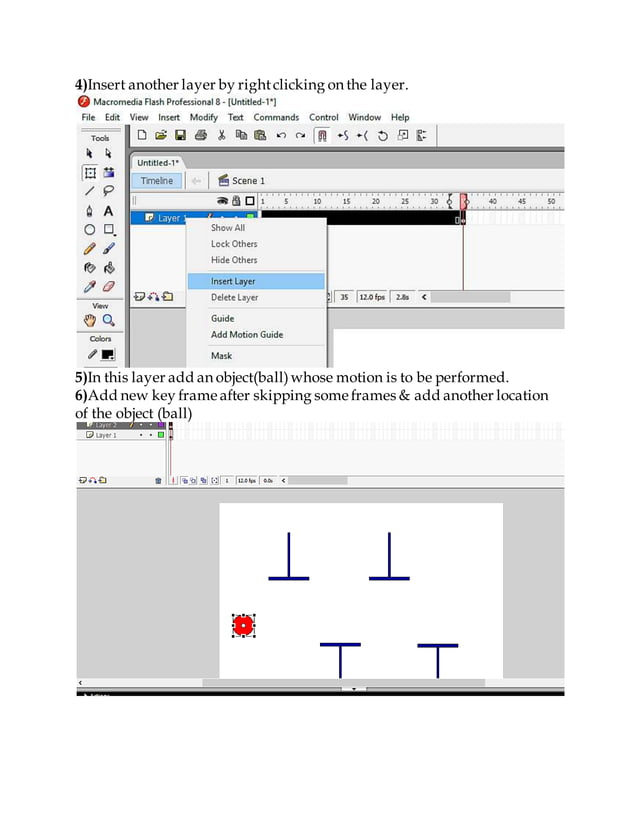 Macromedia Flash Player Practical file | DOCX | Computer Animation | Computer Software and ...