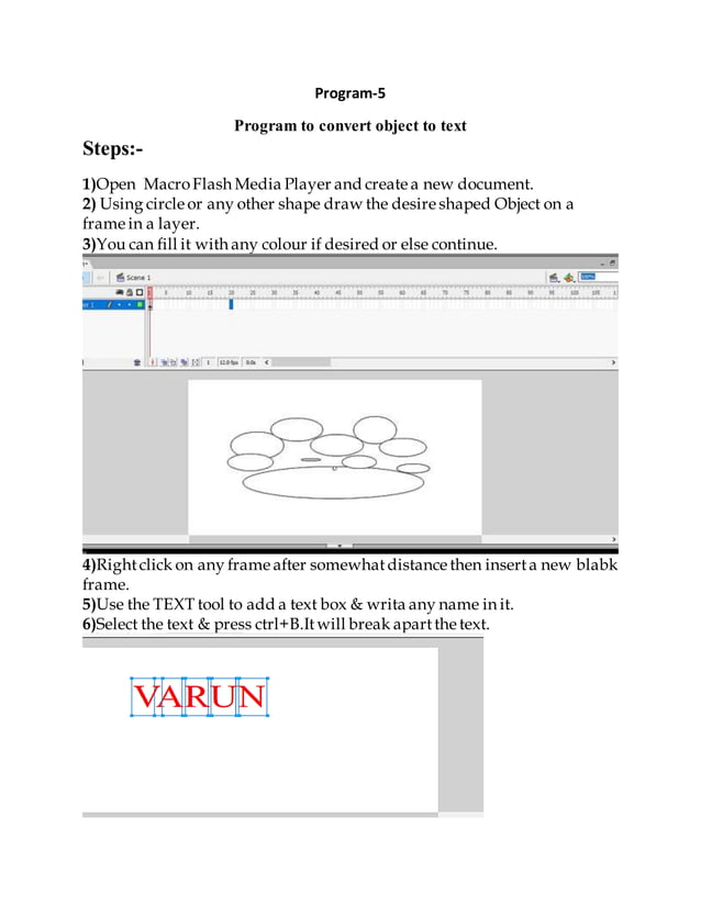 Macromedia Flash Player Practical file | DOCX | Computer Animation | Computer Software and ...