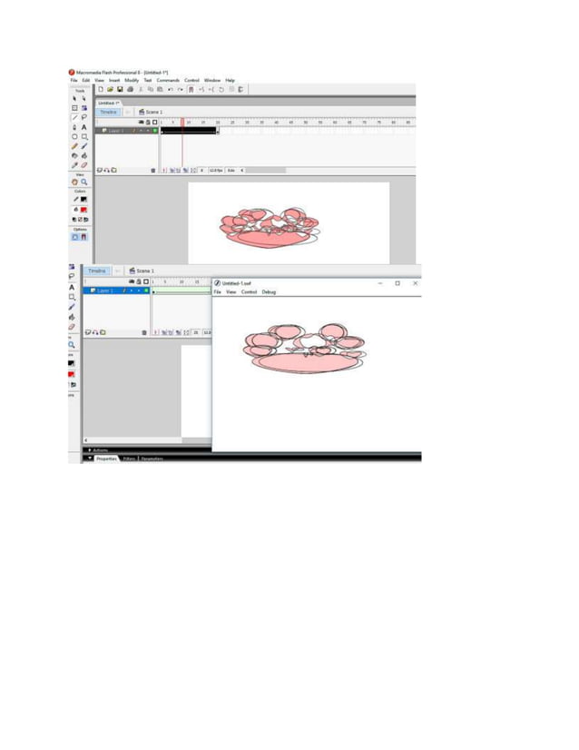 Macromedia Flash Player Practical file | DOCX | Computer Animation | Computer Software and ...