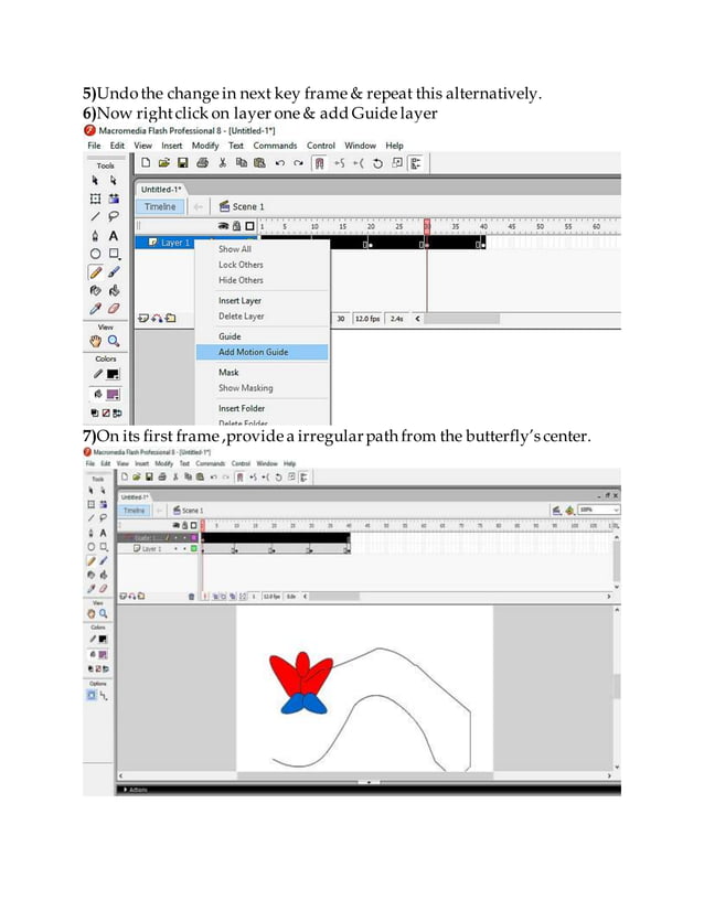Macromedia Flash Player Practical file | DOCX | Computer Animation | Computer Software and ...