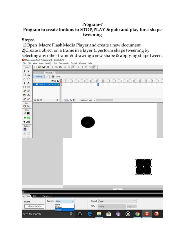 Macromedia Flash Player Practical file | DOCX | Computer Animation | Computer Software and ...
