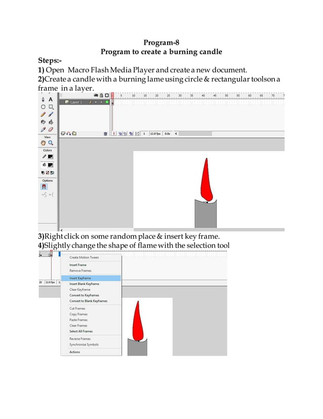 Macromedia Flash Player Practical file | DOCX | Computer Animation | Computer Software and ...