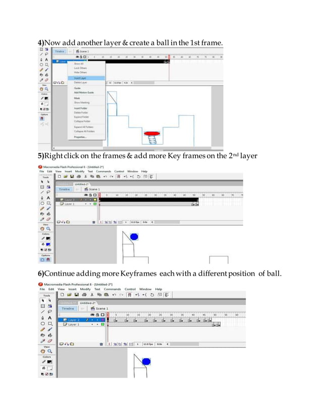 Macromedia Flash Player Practical file | DOCX | Computer Animation | Computer Software and ...