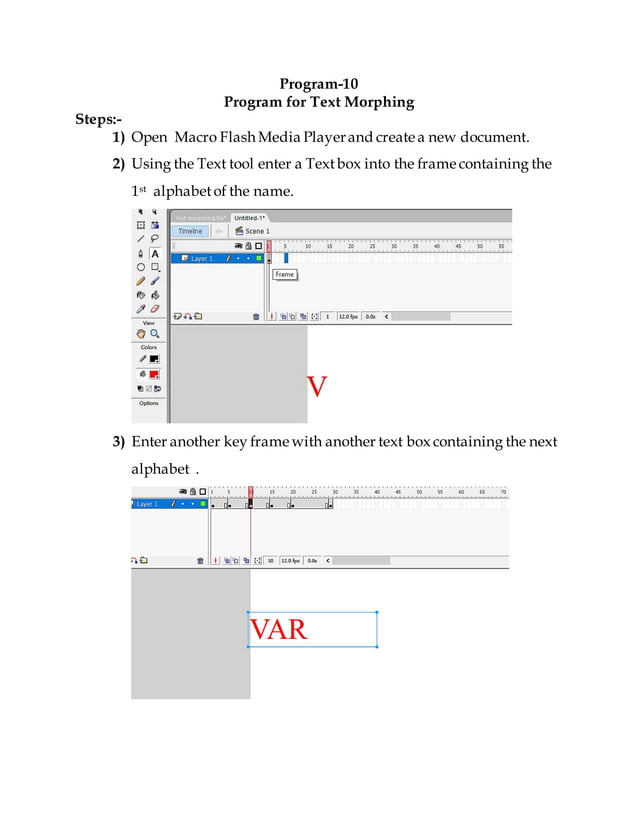 Macromedia Flash Player Practical file | DOCX | Computer Animation | Computer Software and ...