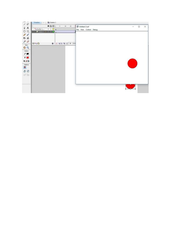 Macromedia Flash Player Practical file | DOCX | Computer Animation | Computer Software and ...