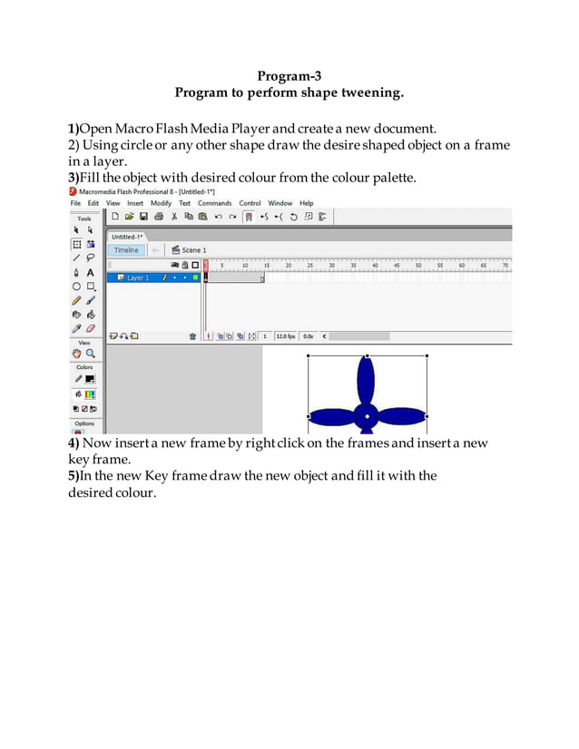 Macromedia Flash Player Practical file | DOCX | Computer Animation | Computer Software and ...
