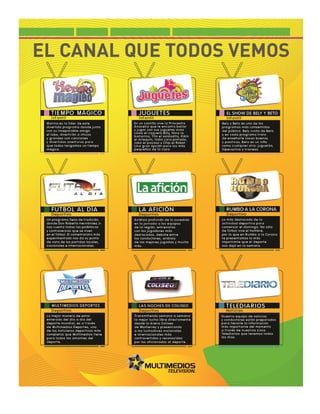 Multimedios Tv Flyer | PDF