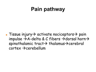Multimodal analgesia Al Razi hospital Kuwait | PDF