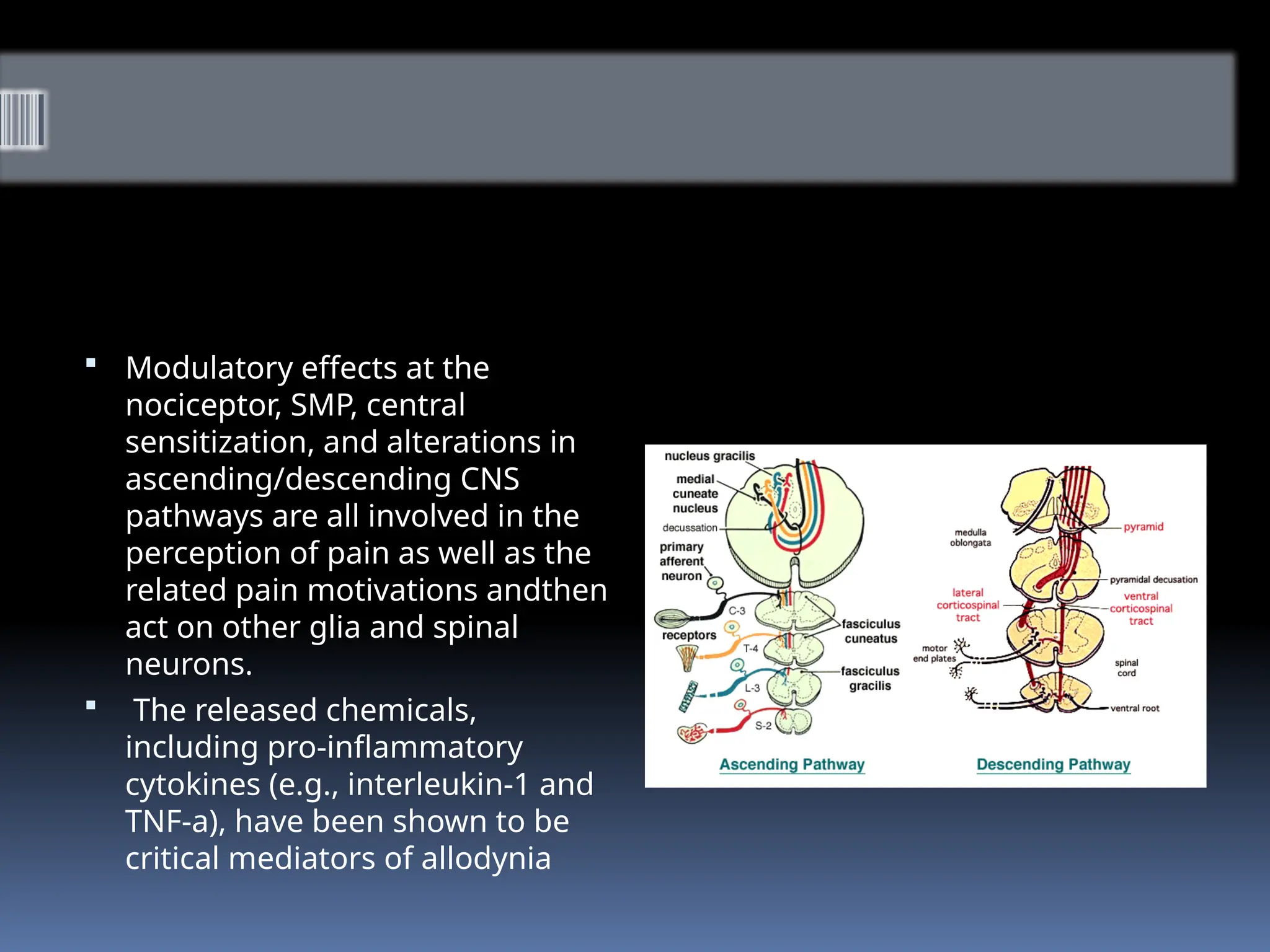 Multimodal approach in acute post operative pain.pptx