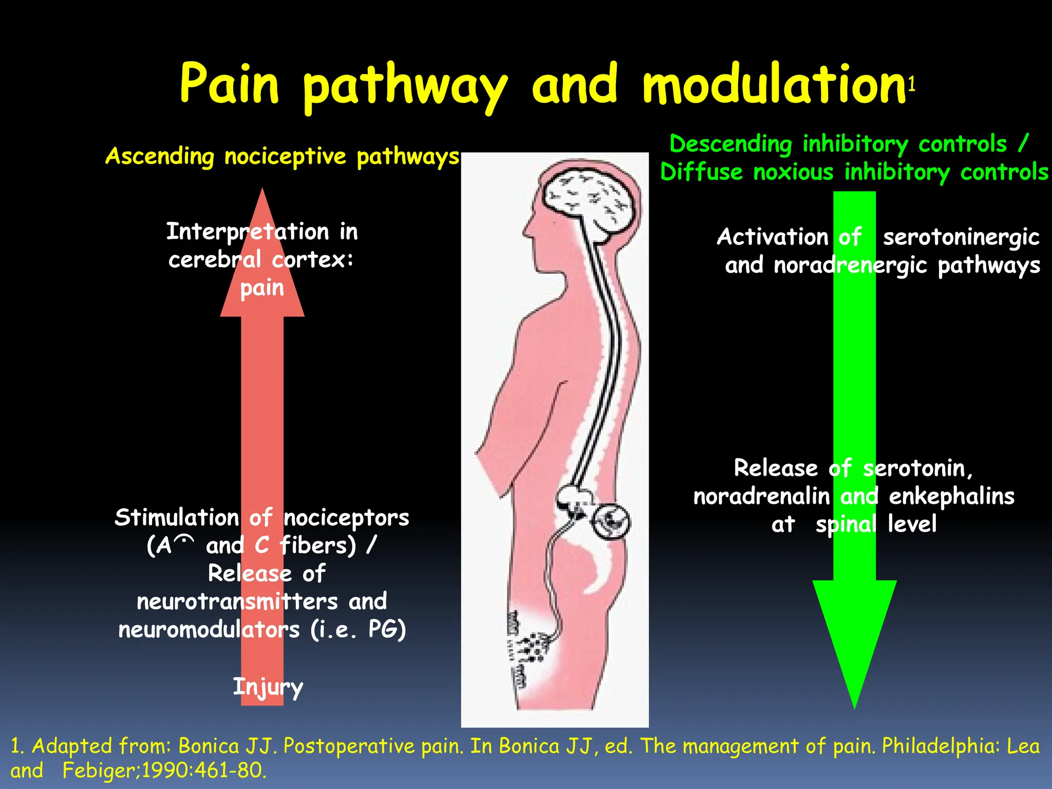 Multimodal approach in acute post operative pain.pptx