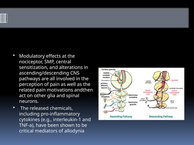 Multimodal approach in acute post operative pain.pptx | Physical ...