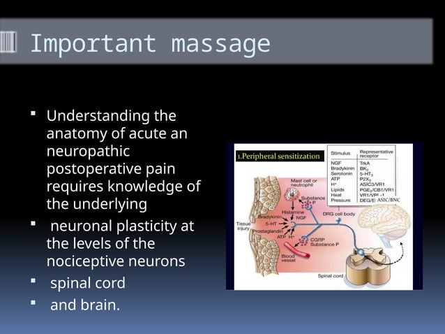 Multimodal approach in acute post operative pain.pptx | Physical ...