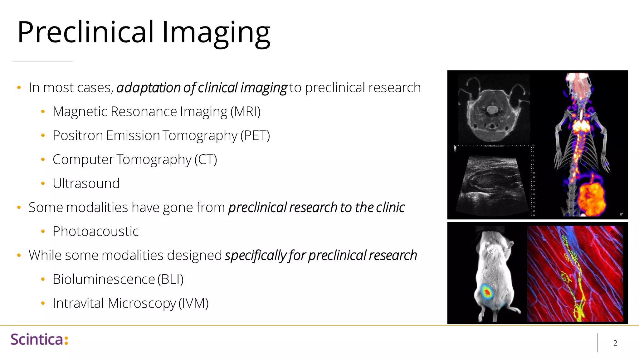 (April 4, 2023) Overview of Preclinical Small Animal Imaging Modalities ...
