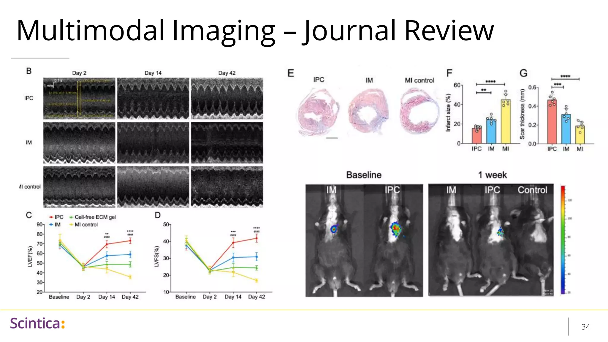 (April 4, 2023) Overview of Preclinical Small Animal Imaging Modalities ...