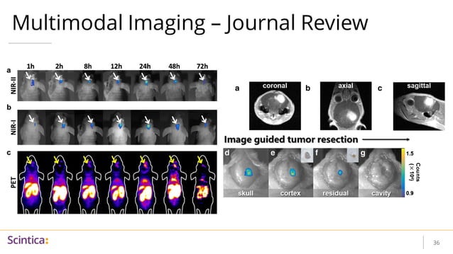 (April 4, 2023) Overview of Preclinical Small Animal Imaging Modalities & Multimodal ...