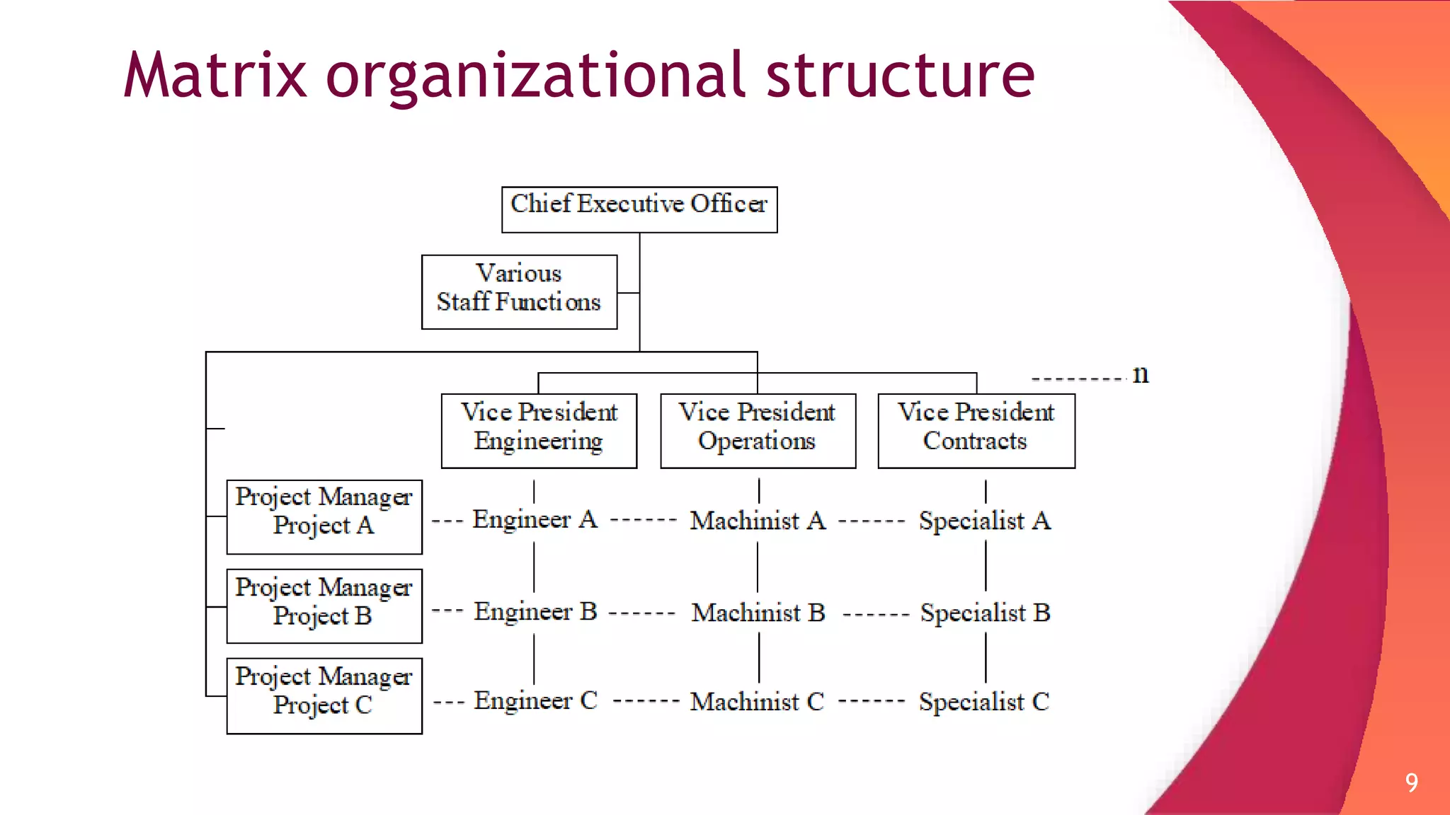 multi national structure.pptx