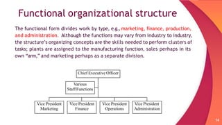 multi national structure.pptx