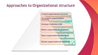multi national structure.pptx
