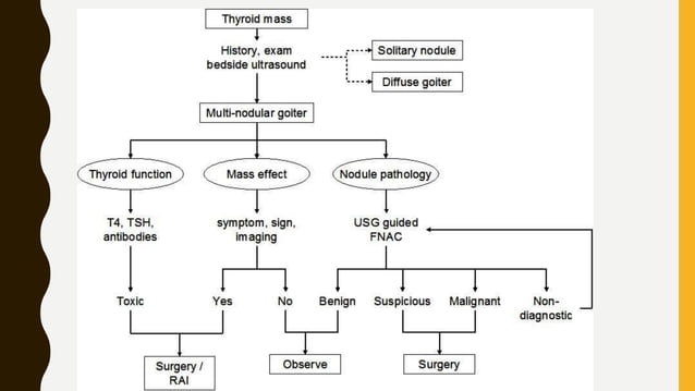 Multi nodular goitre (MNG) | PPTX | Thyroid Disorders | Endocrine and ...