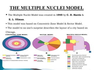 Multiple Nuclei Model