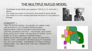 MULTI NUCLEI THEORY | PPTX