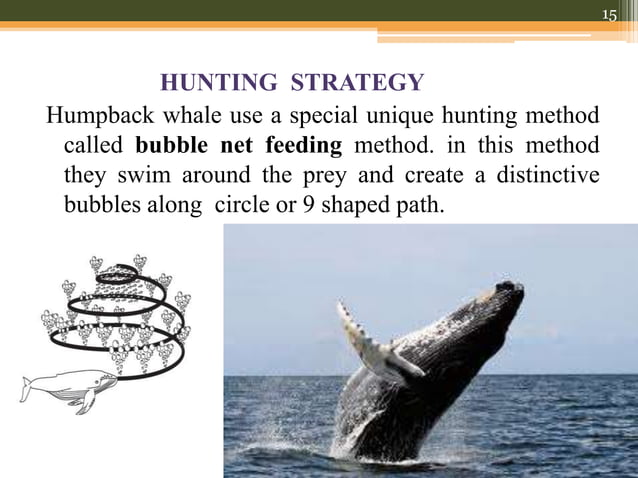 Multiobjective load flow problem by whale optimization | PPT