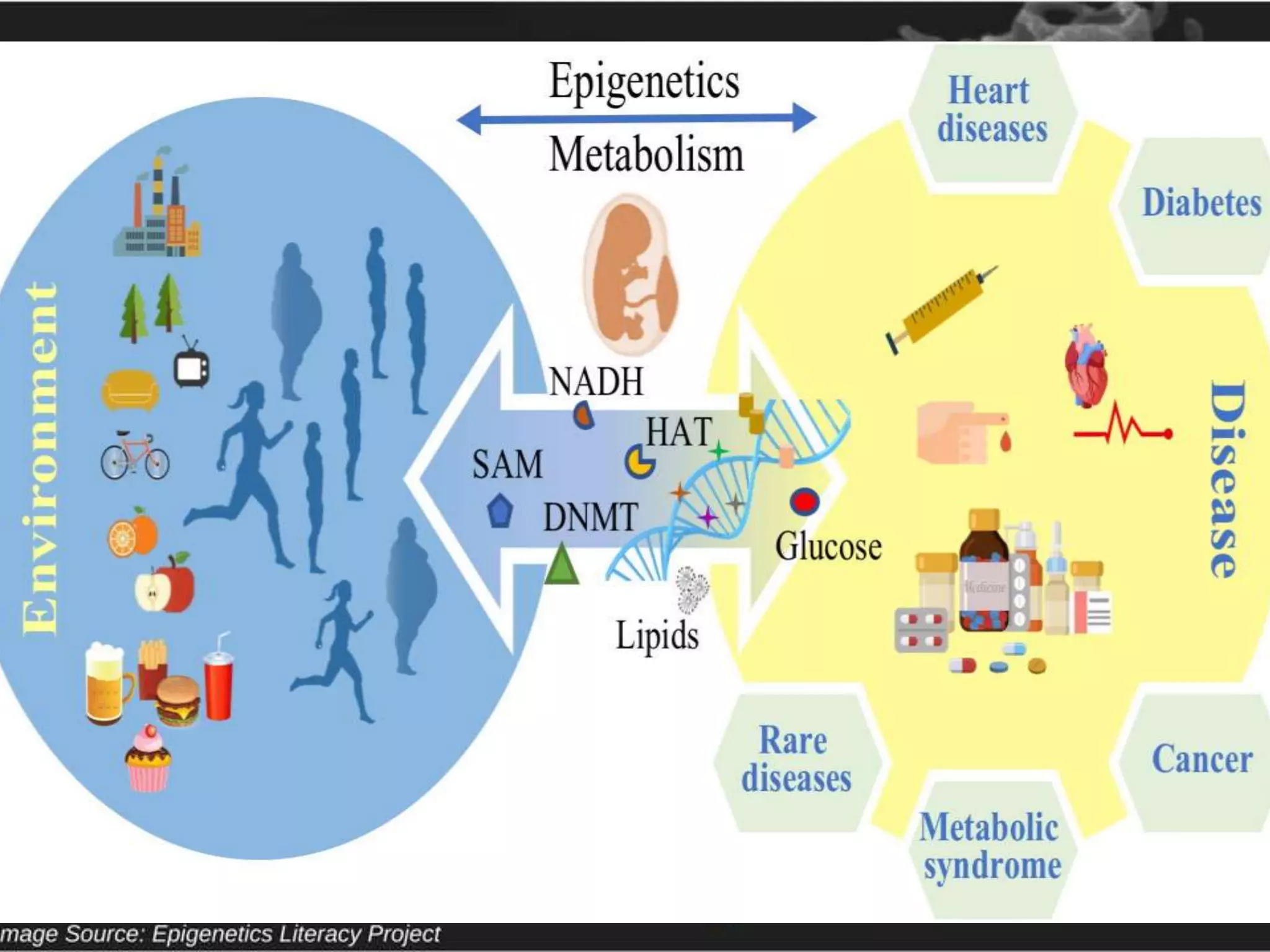 Multi Omics Approach in Medicine | PPTX