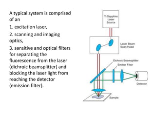Multiphoton imaging techniques in AKI | PPSX