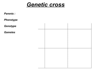 Multiple Alleles Lesson 4 | PPT