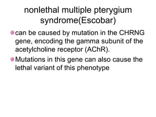 Multiple Pterygium | PPT