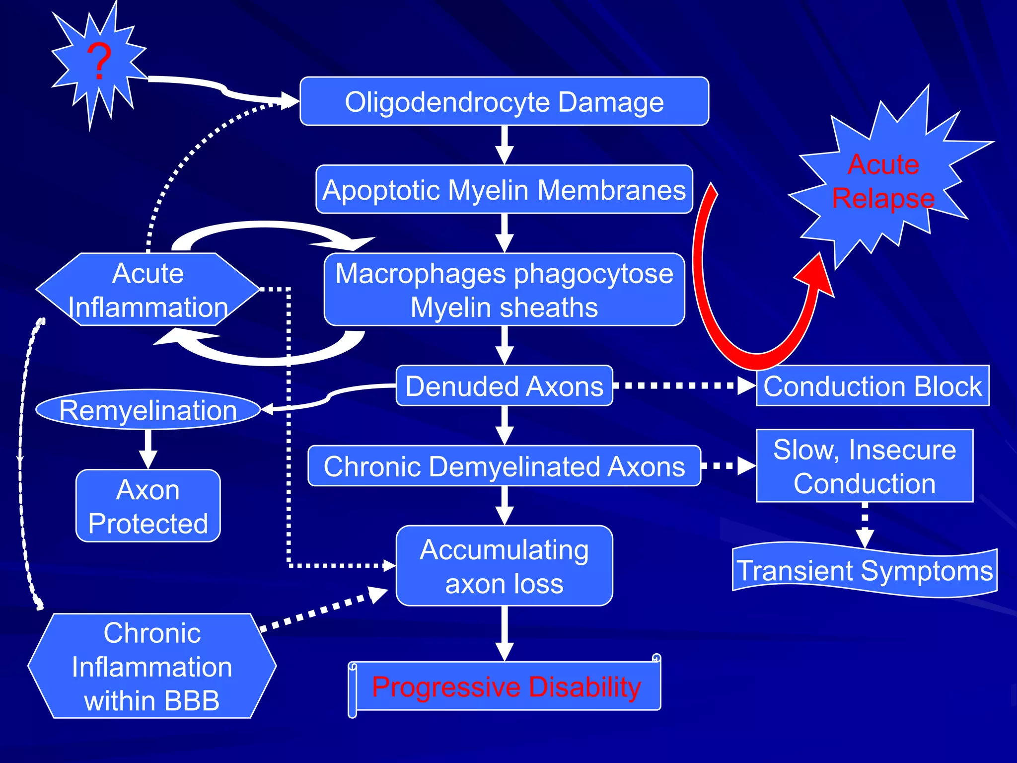 Multiple sclerosis-basic-principles-and-new-developments596 (1) | PPTX | Brain and Nervous ...
