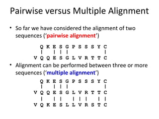 Multiple alignment | PPT