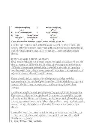 Multiple allel | PDF
