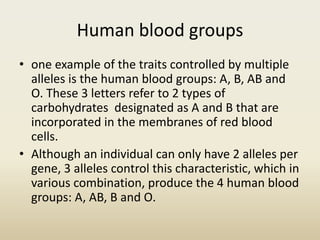 Multiple allele - Genetics | PPTX