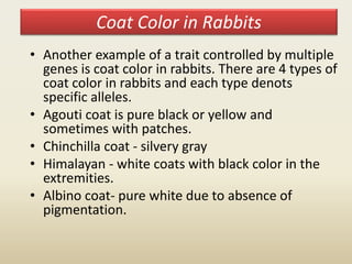 Multiple allele - Genetics | PPTX