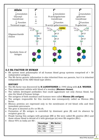 Multiple alleles - ABO blood group, Rh Factor, Erythroblastosis ...
