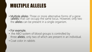 Multiple alleles | PPTX
