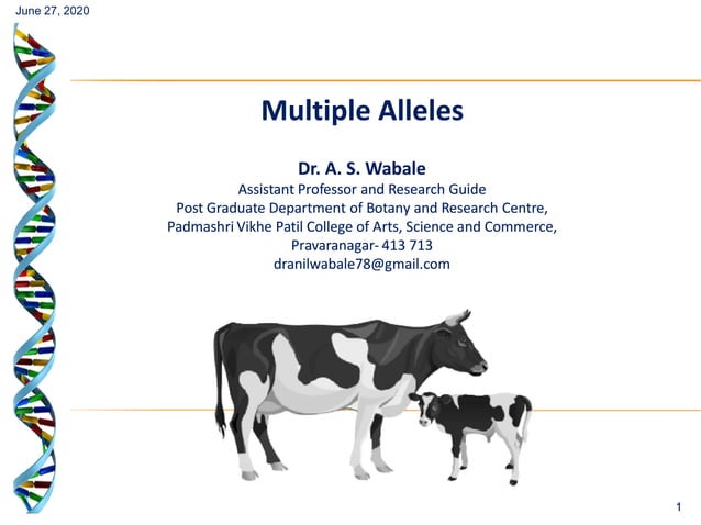 Multiple alleles | PDF