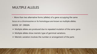 Multiple alleles.pptx